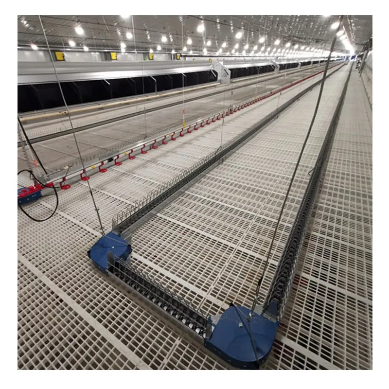 Chain feeding system - Catchoe - China poultry equipment supplier