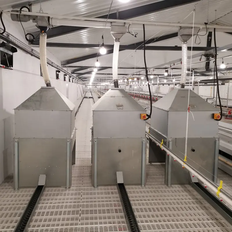 Chain feeding system - Catchoe - China poultry equipment supplier